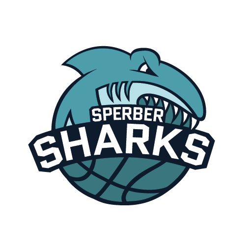 DURCHSTARTEN mit BASKETBALL an der Sperberschule – Nürnberg Basketball ...